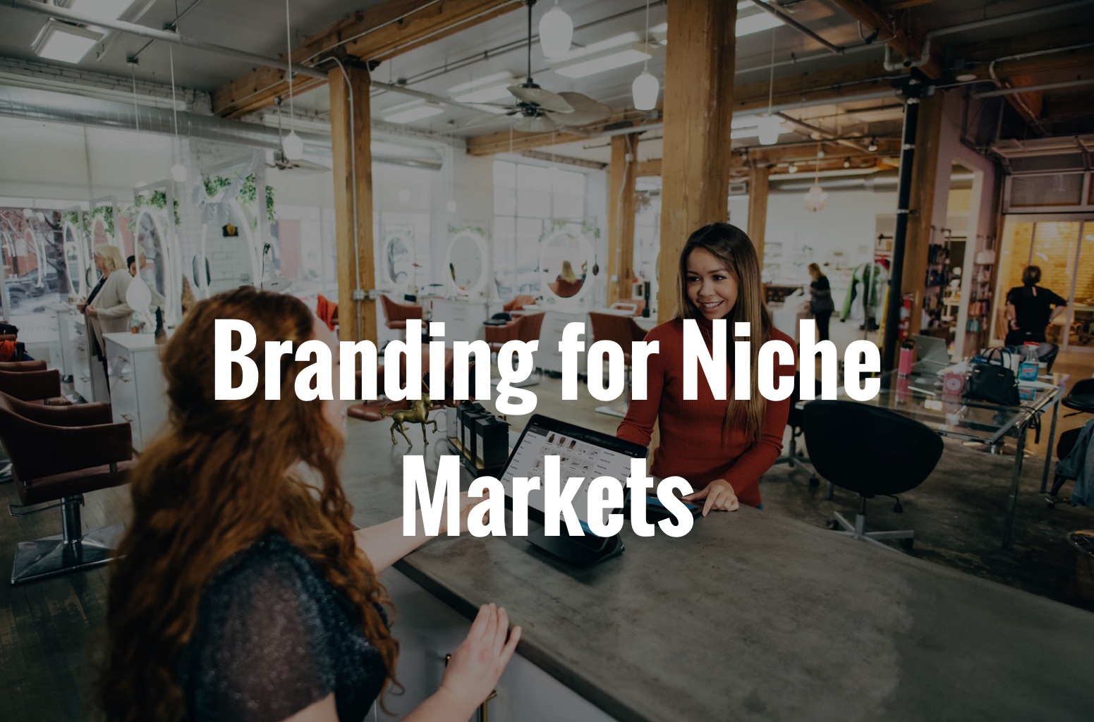 Branding for Niche Markets - Clockwork Moggy